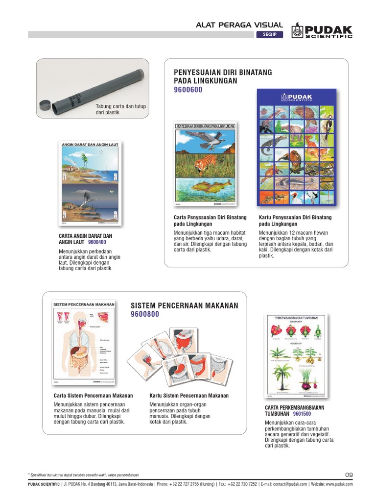 Katalog Seqip Carta | PDF