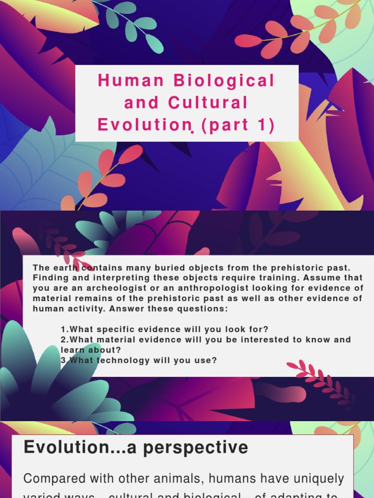 Human Evolution: Evidence and Theories | PDF | Hominini | Natural Selection