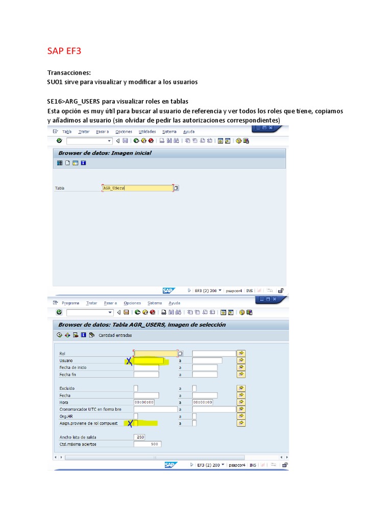 Sap Ef3 | PDF | Informática | Software
