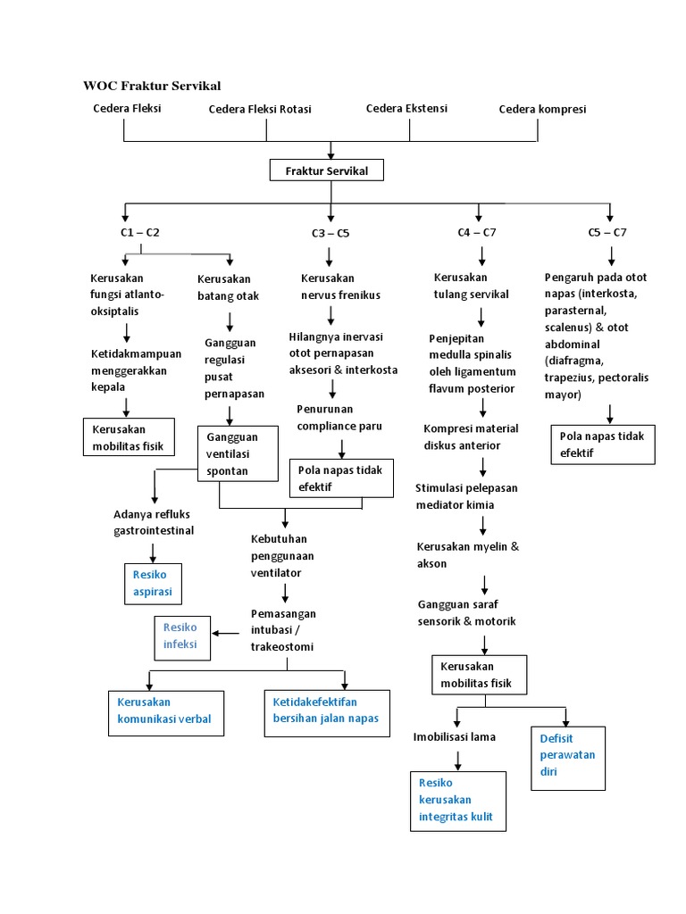 WOC Fraktur Servikal | PDF