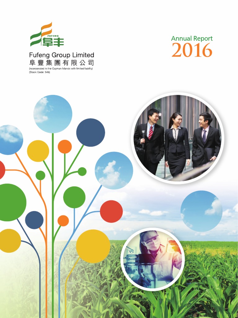 Fufeng Group 2016 Annual Financial Overview | PDF | Revenue | Leverage ...