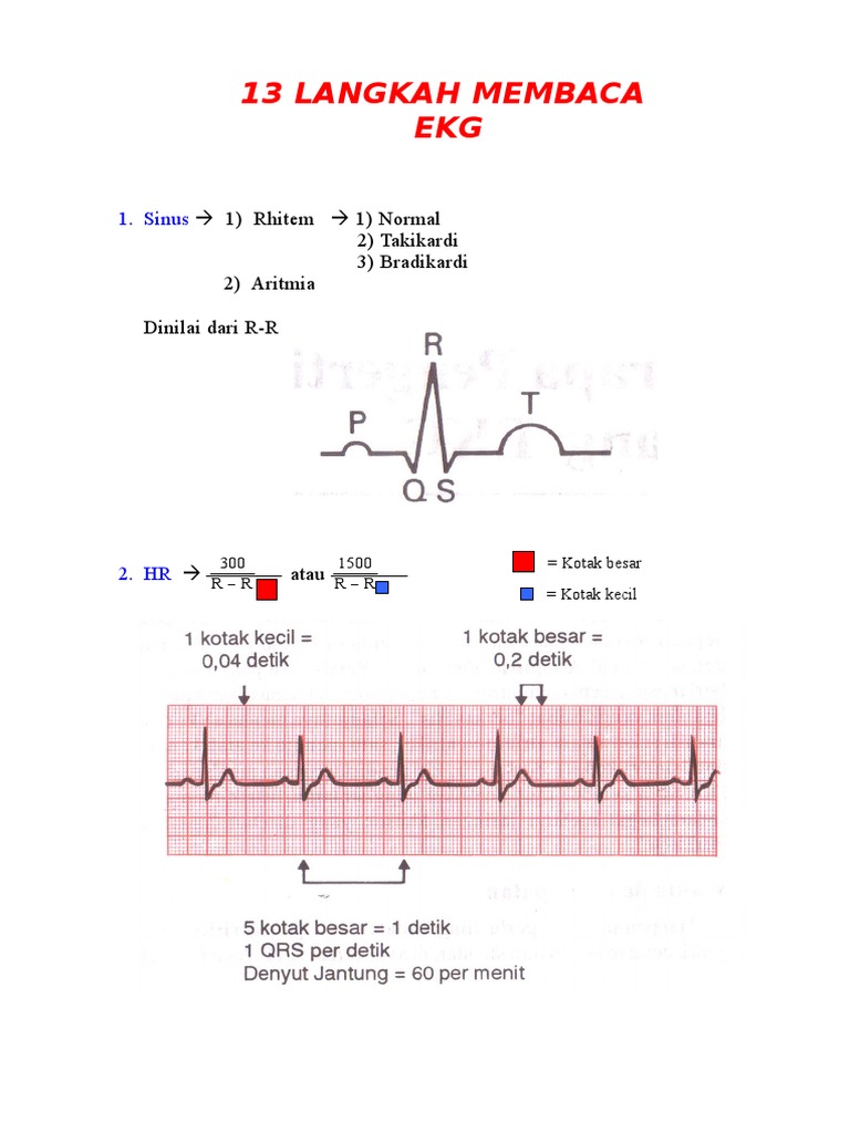 13 Langkah Membaca Ekg | PDF 13 Langkah Membaca Ekg | PDF