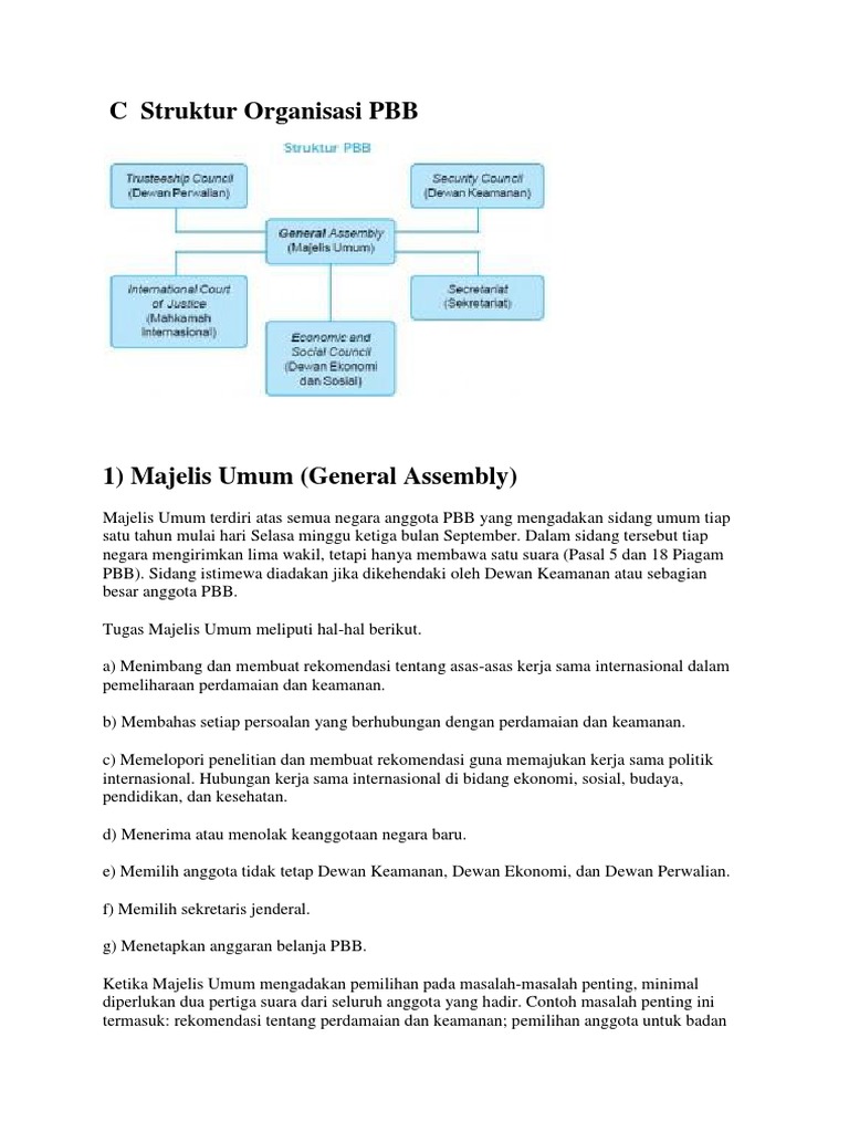 Struktur Organisasi PBB | PDF