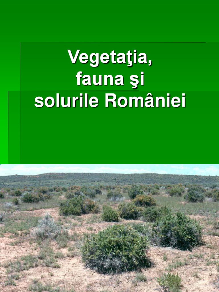 Vegetatia, Fauna Si Solurile Romaniei | PDF