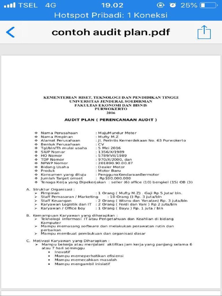 Contoh Audit Plan | PDF