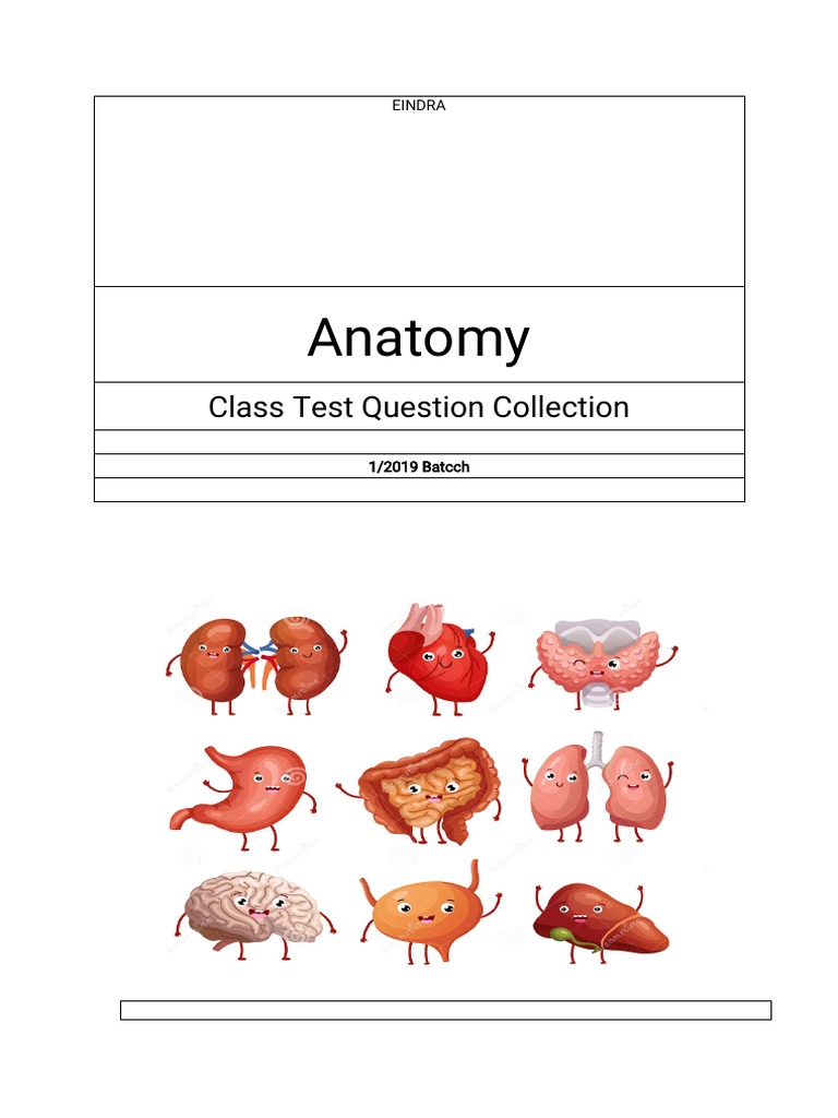 Anatomy Class Test Questions Collection | PDF | Lung | Shoulder