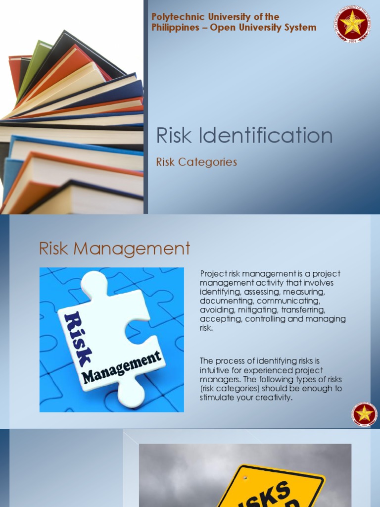 Risk Categories | PDF | Risk Management | Project Management