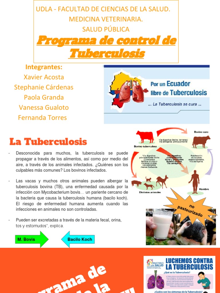 TUBERCULOSIS | PDF | Tuberculosis | Salud pública