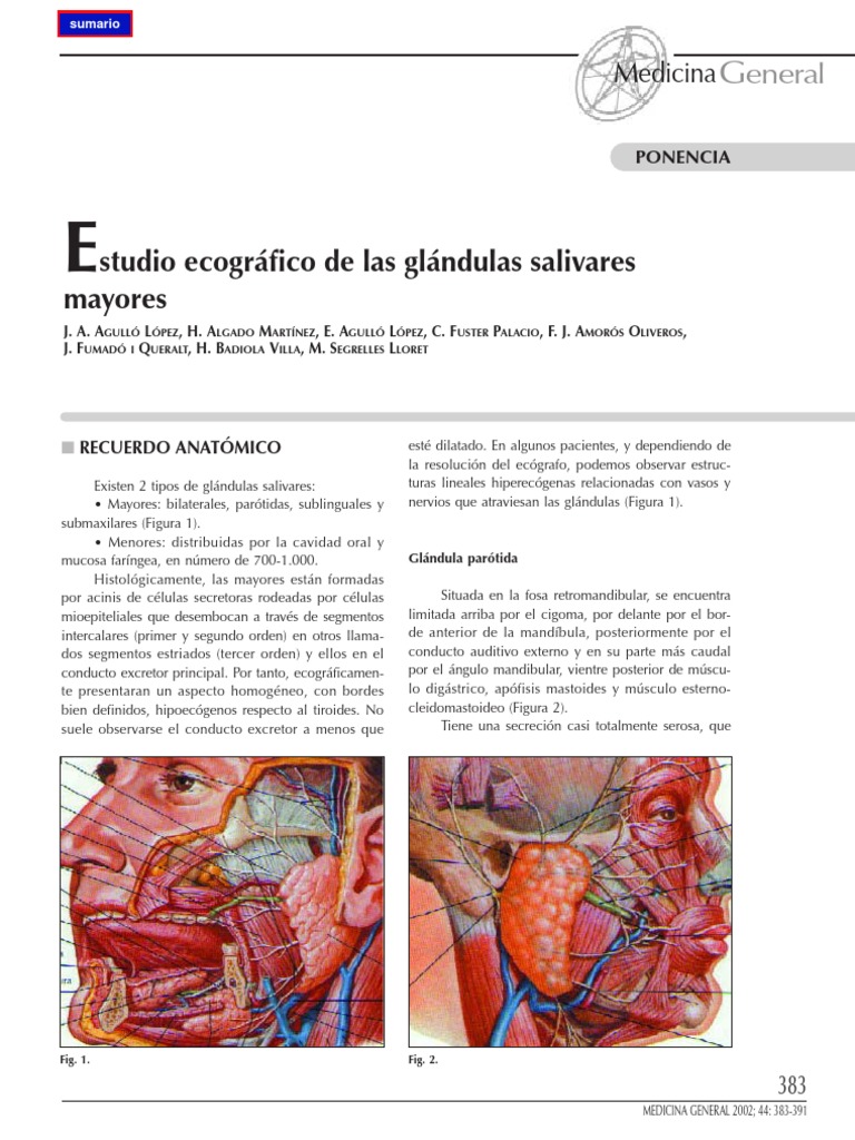 Ecografía de Glándulas Salivares | PDF | Neoplasias | Anatomia animal