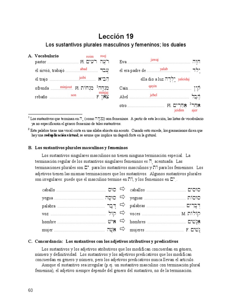 Lección 19 - Sustantivos Plurales Masculinos y Femeninos | PDF | Numero ...