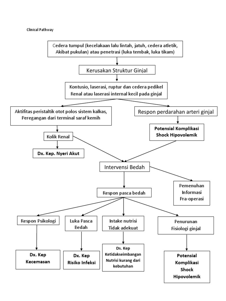 Clinical Pathway | PDF