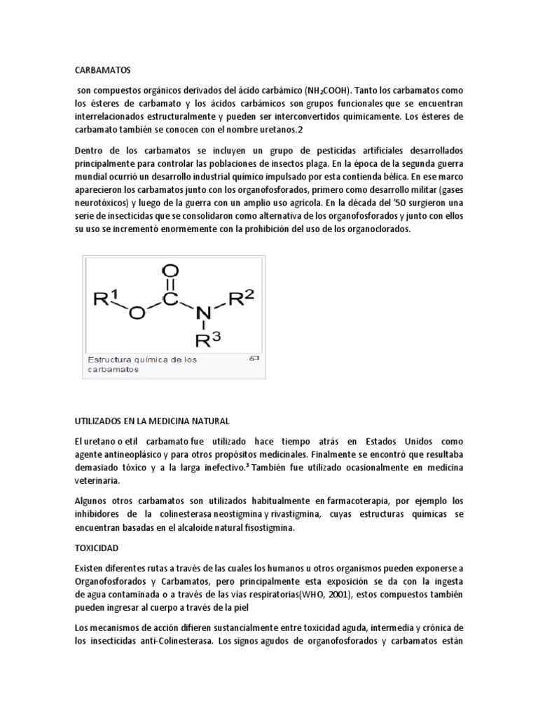 Carbamatos: Estructura y Usos Insecticidas | PDF
