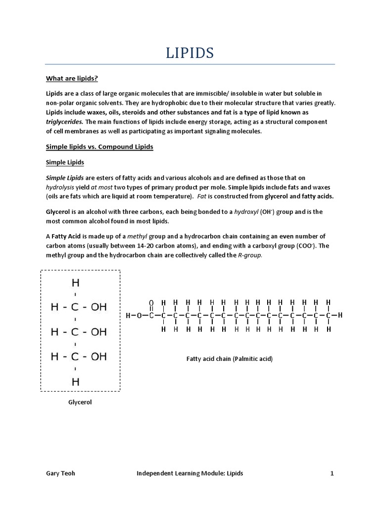 Lipid Notes | PDF | Lipid | Fat