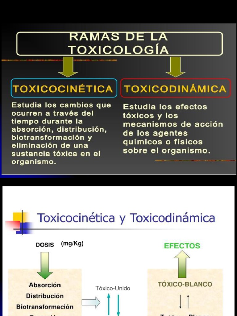 2 Farmacia Toxicocinetica | PDF | Biotransformación | Digestión