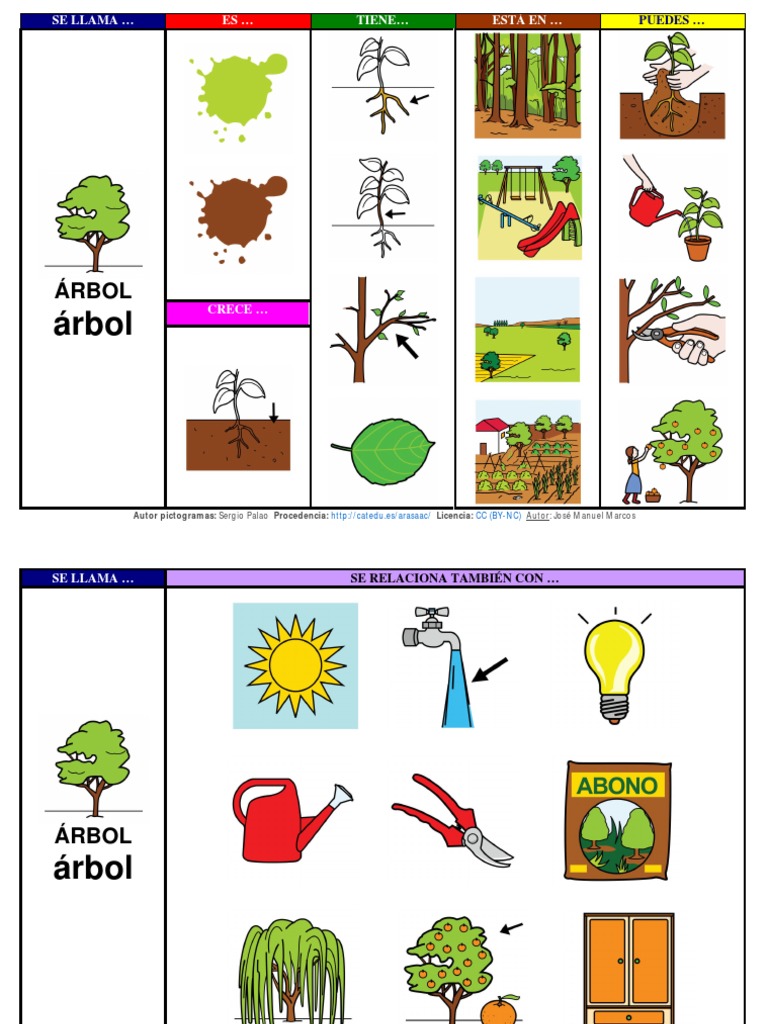 Mapa Semántico Árbol | PDF