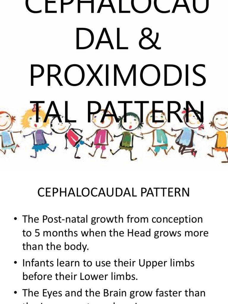 Cephalocaudal & Proximodistal Pattern | PDF