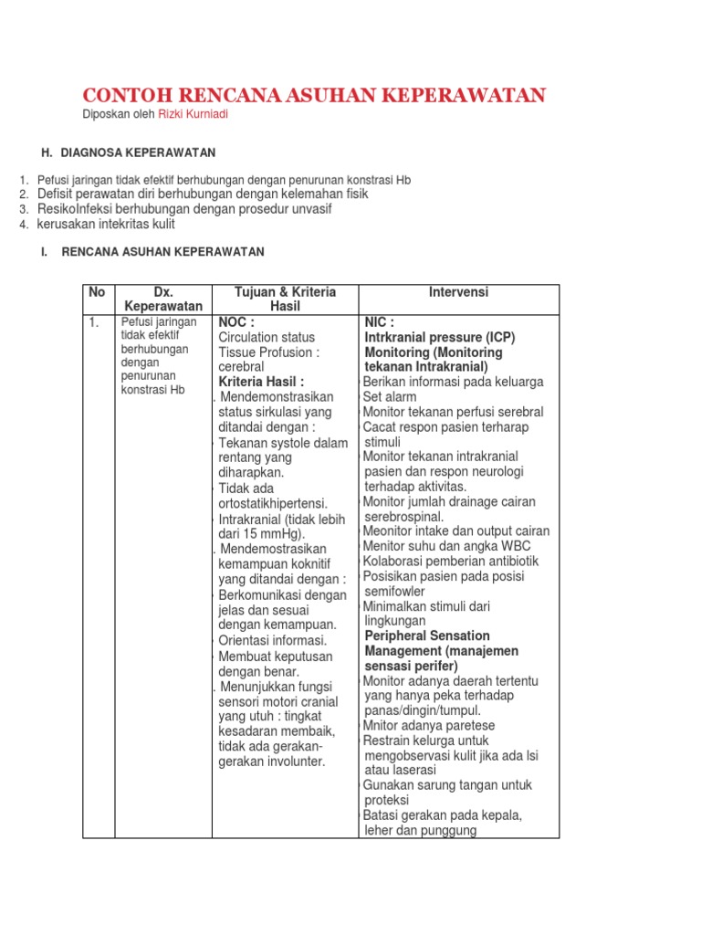Contoh Rencana Asuhan Keperawatan | PDF