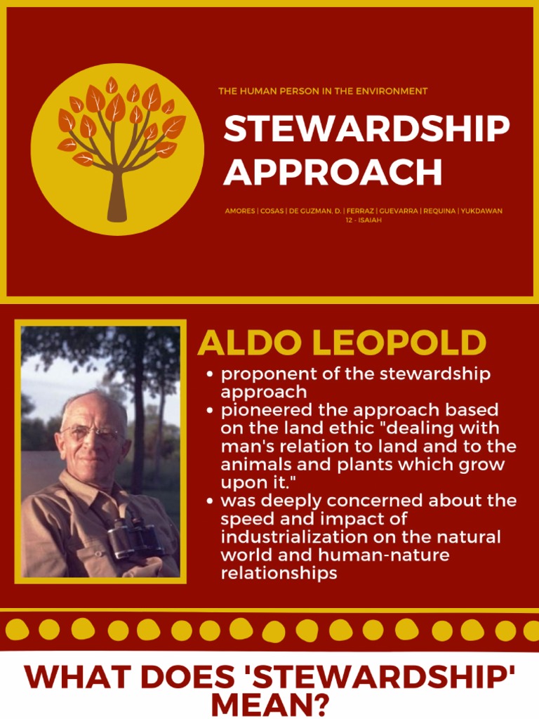 Stewardship Approach A Report in Introduction To The Philosophy of The ...