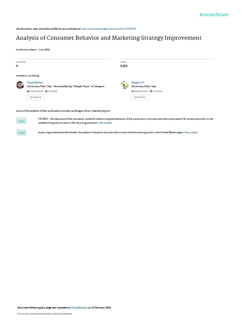 Consumer Behavior & Marketing Strategy Insights | PDF | Marketing ...