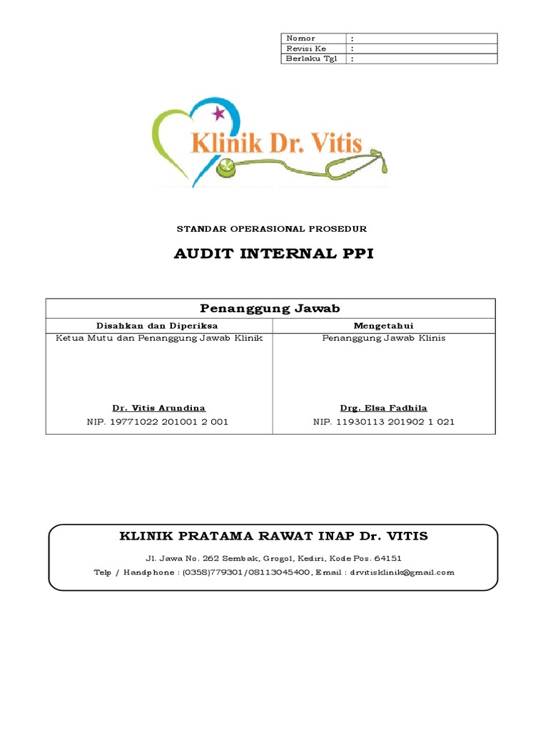 Audit Internal Ppi | PDF