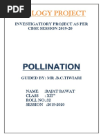 Pollination Class 12 Biology Project | PDF | Pollination | Pollinators