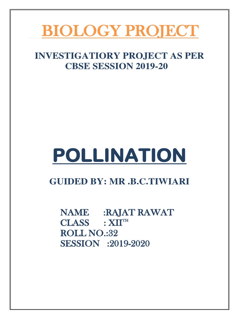 Pollination Class 12 Biology Project | PDF | Pollination | Pollinators