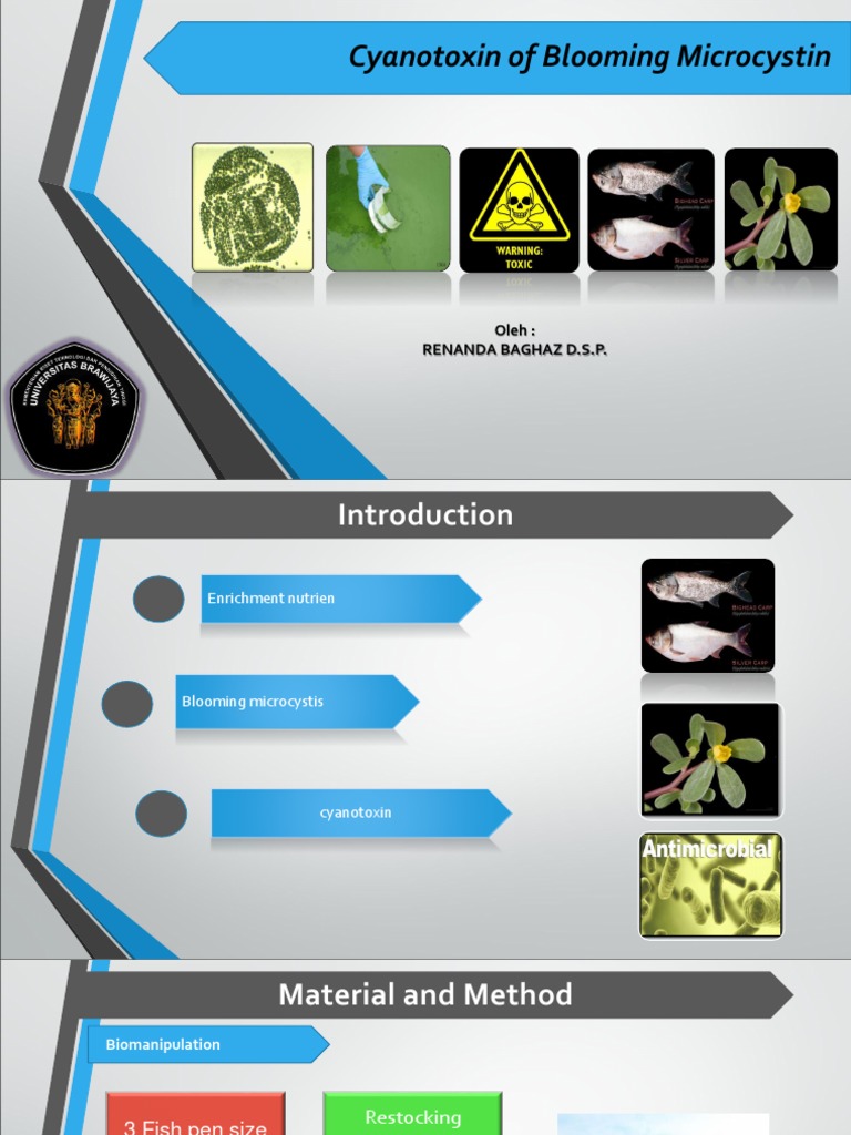 Aquatic Microbiology | PDF | Chemistry | Nature