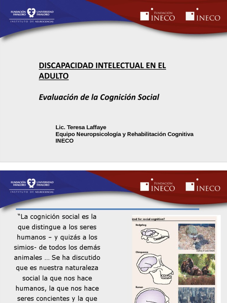 Evaluacion De La Cognicion Social En El Pdf Teoria De La Mente