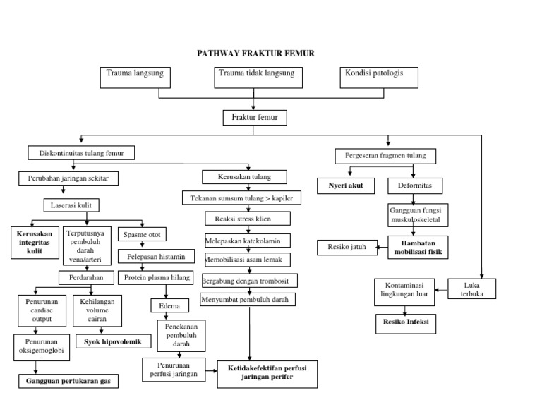 Pathway Fraktur Femur | PDF