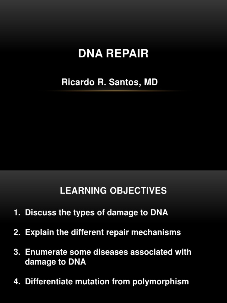 DNA Damage and Repair Mechanisms | PDF | Dna Repair | Single Nucleotide ...