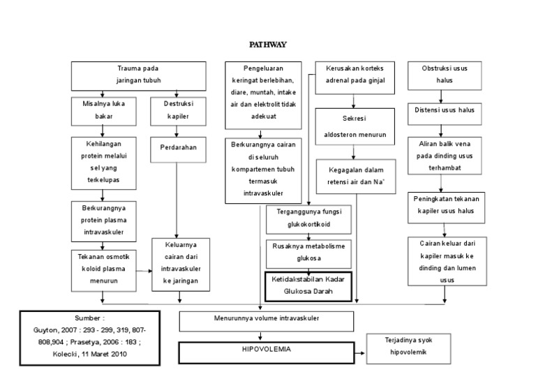 Pathway Syok Hipovolemik | PDF