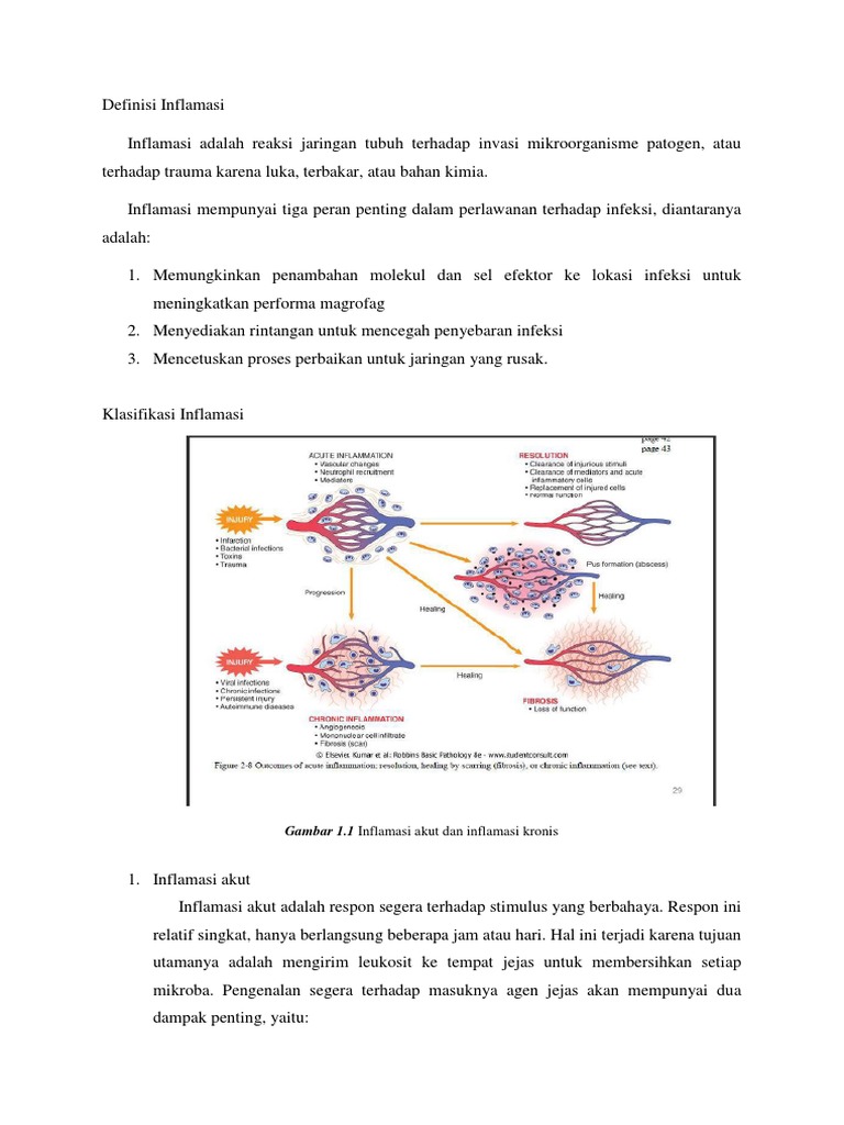Definisi Inflamasi dan Klasifikasinya | PDF