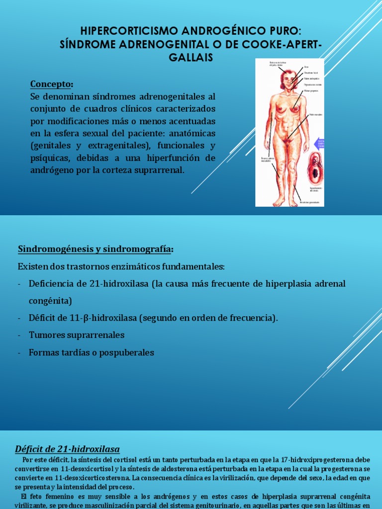 Hipercorticismo Androgénico Puro | PDF | Glándula suprarrenal | Sistema ...