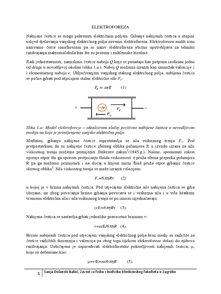 Elektroforeza | PDF