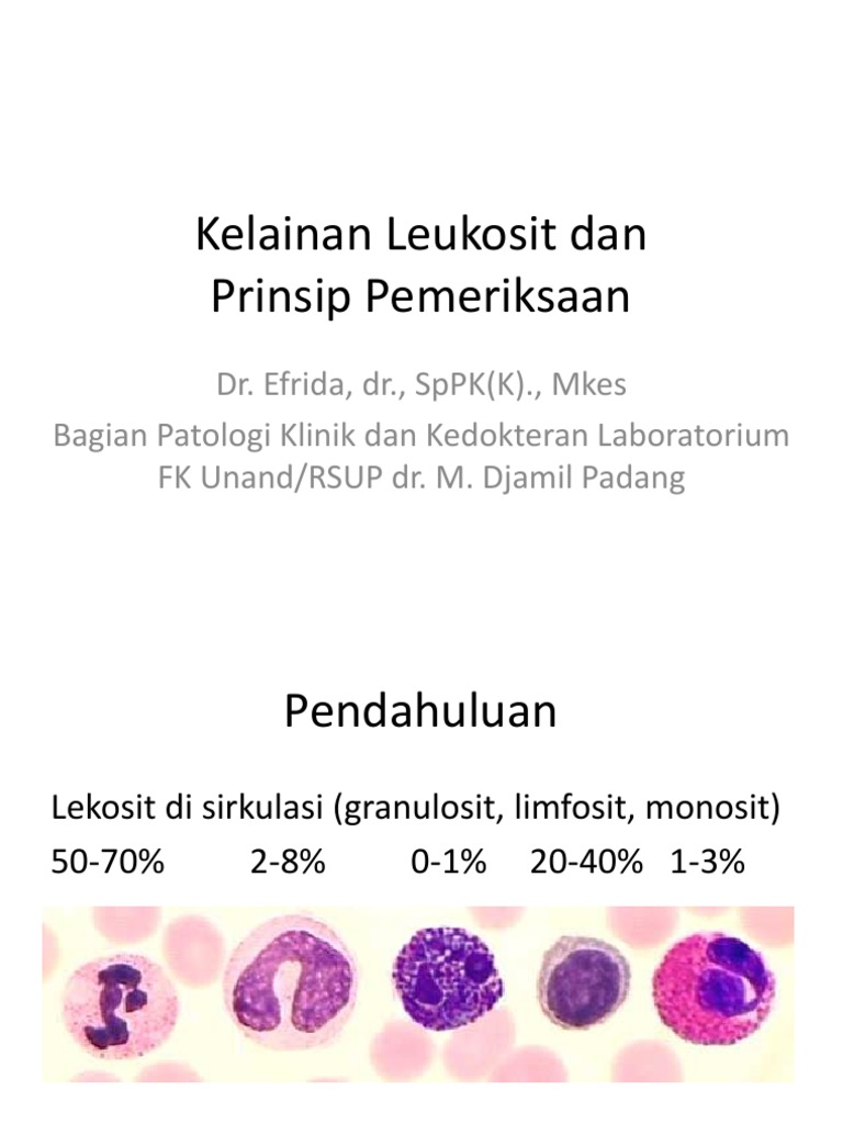 Kelainan Leukosit Dan Prinsip Pemeriksaan | PDF