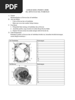LKPD - Mengamati Sel Hewan Dan Sel Tumbuhan-1 | PDF | Griya & Taman | Kesehatan Holistik