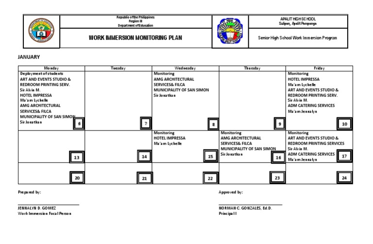 WORK IMMERSIONMonitoring Plan | PDF