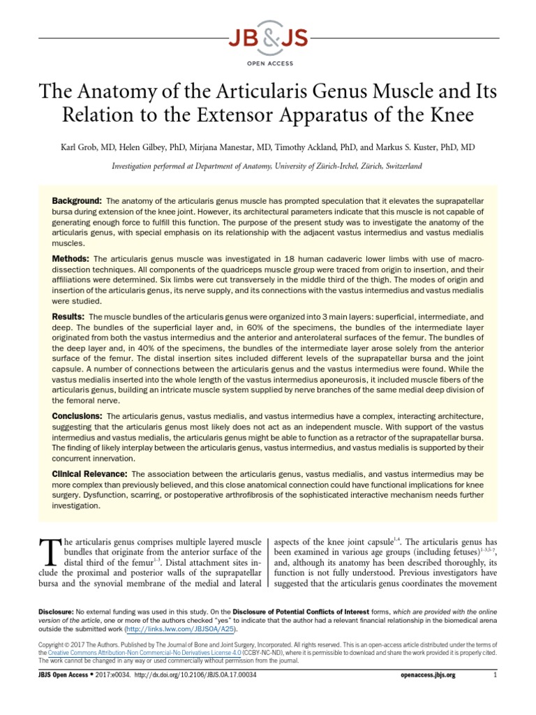 The Anatomy of The Articularis Genus Muscle and It | PDF | Knee ...