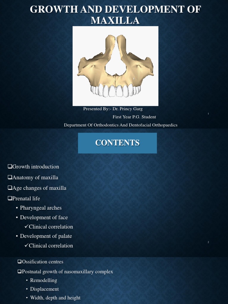 Maxillary Growth: Prenatal to Postnatal | PDF | Human Nose | Bone