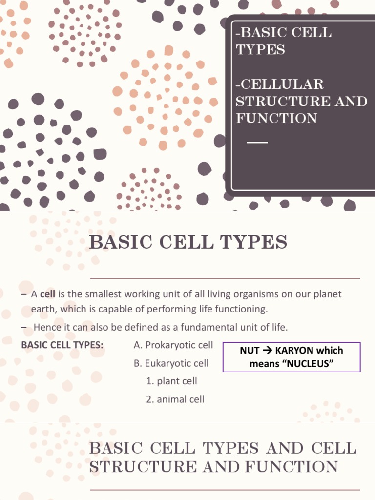 Basic Cell Types, Cell Structure and Function,& Cell Modifications ...