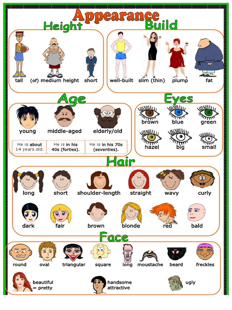 Physical Appearance Vocabulary Worksheet | PDF | Human Body | Beauty