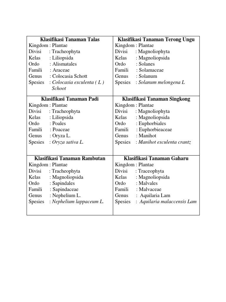 Klasifikasi Tanaman Talas | PDF