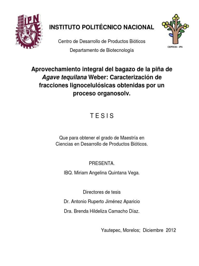 Celulosa de Agave PDF | Descargar gratis PDF | Lignina | Fibra dietética