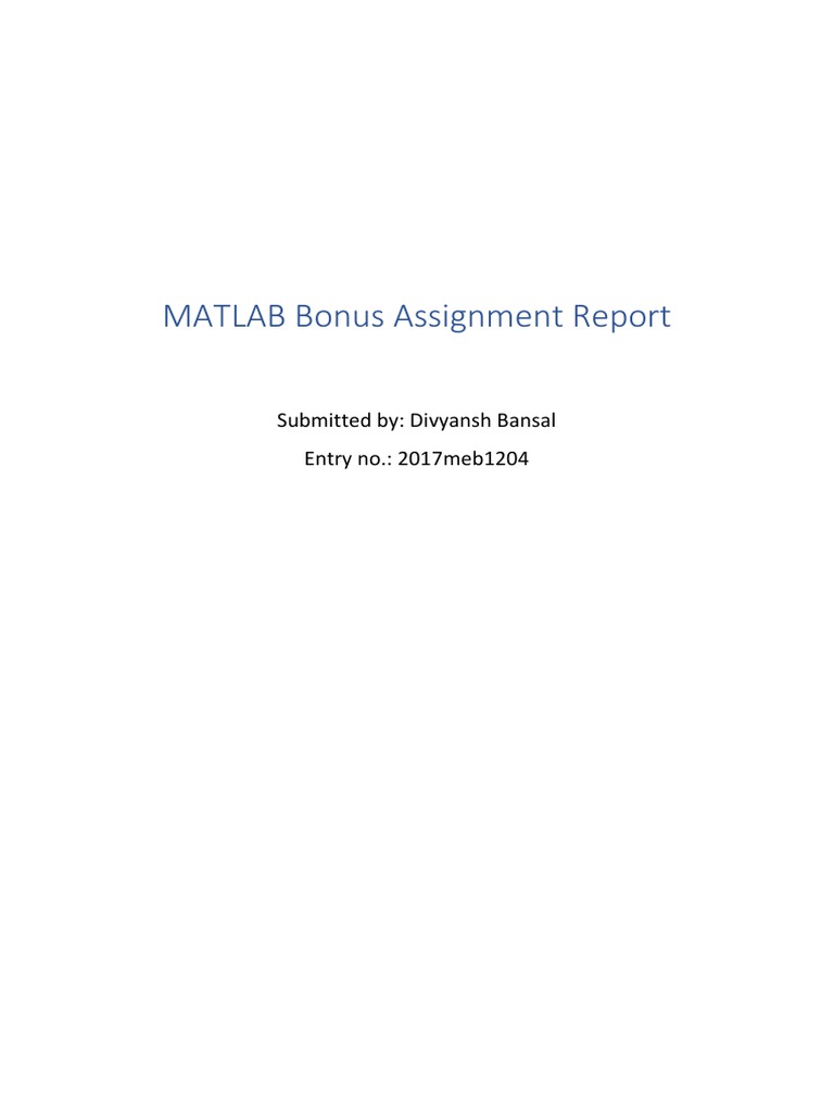 MATLAB Bonus Assignment Report | PDF