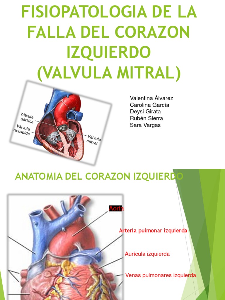 Fisiopatologia de La Falla Del Corazon Izquierdo ( | PDF | Corazón ...