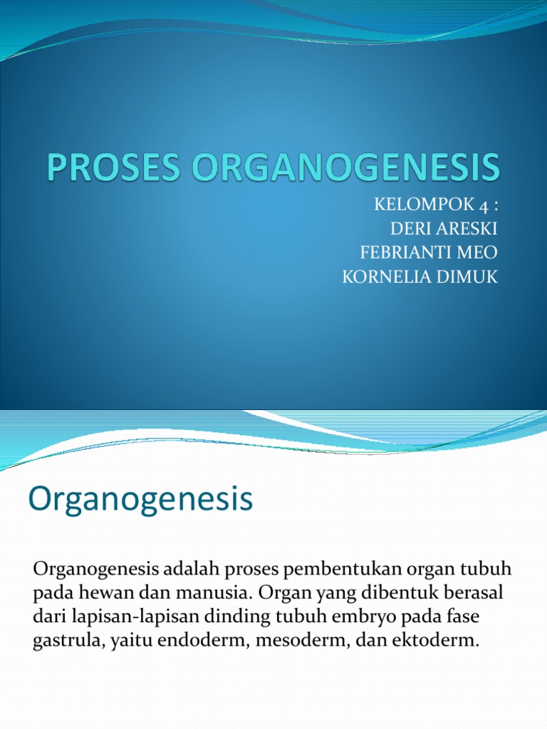 Proses Organogenesis | PDF