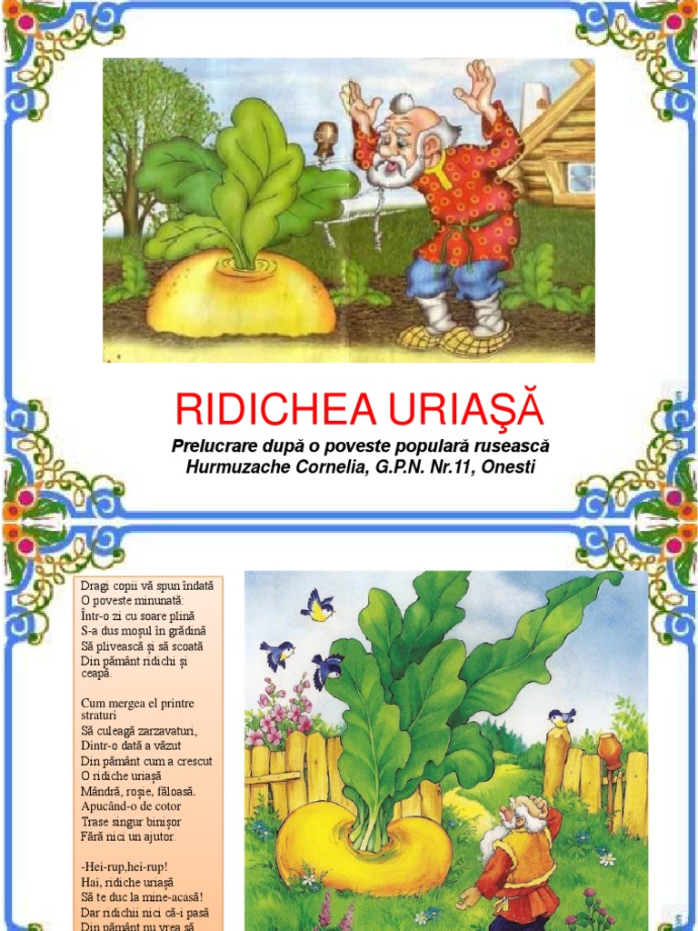 Prezentare Ridichea Uriasa | PDF