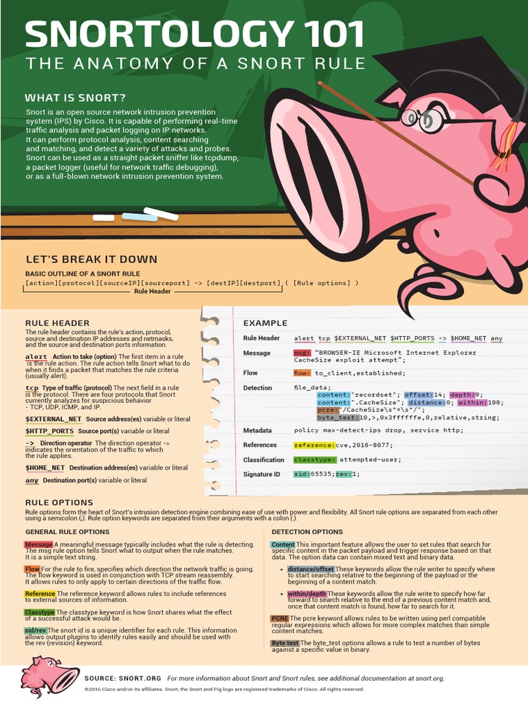 Snort Rule Infographic PDF | PDF | Internet Protocols | Network Packet