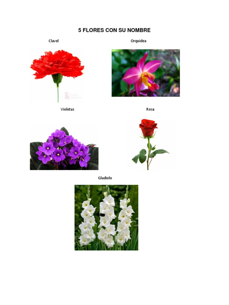 5 Flores y sus Nombres | PDF | Ciencia y matemáticas