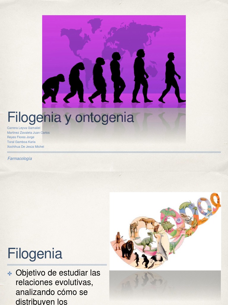 Ontogenia y Filogenia | PDF | Biologia de sistemas | Interacciones ...